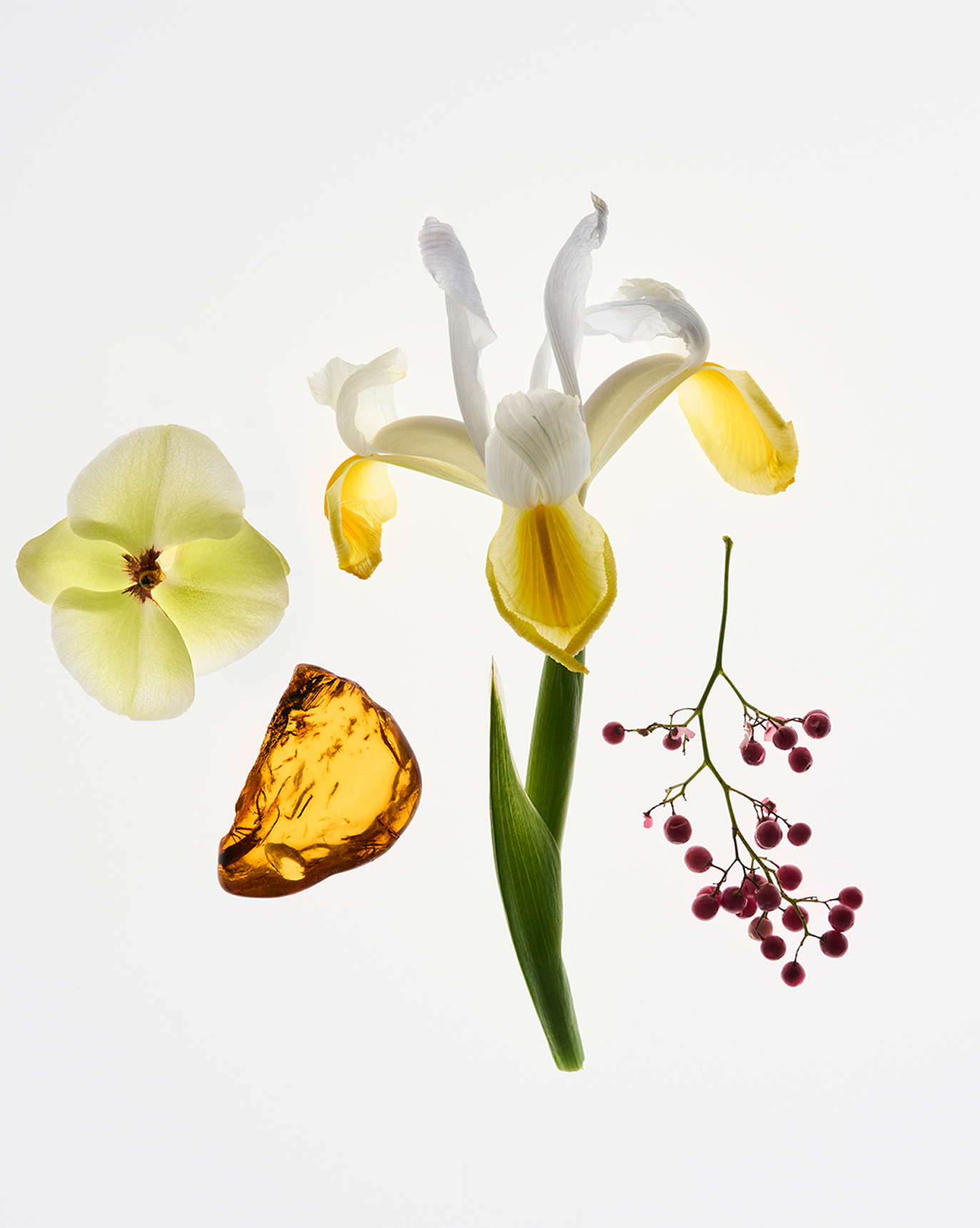 Top Shelf Essentials – Glossier